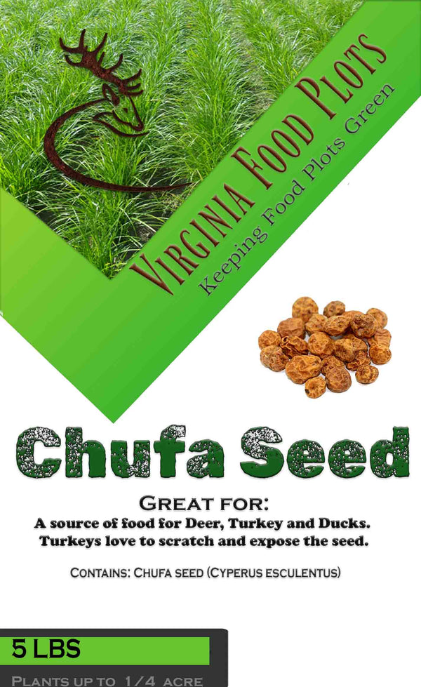 Turkey Gold Chufa Seed - Virginia Food Plots
